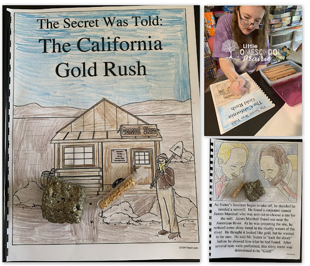 Little Homeschool on the Prairie: My Teaching Library Review
