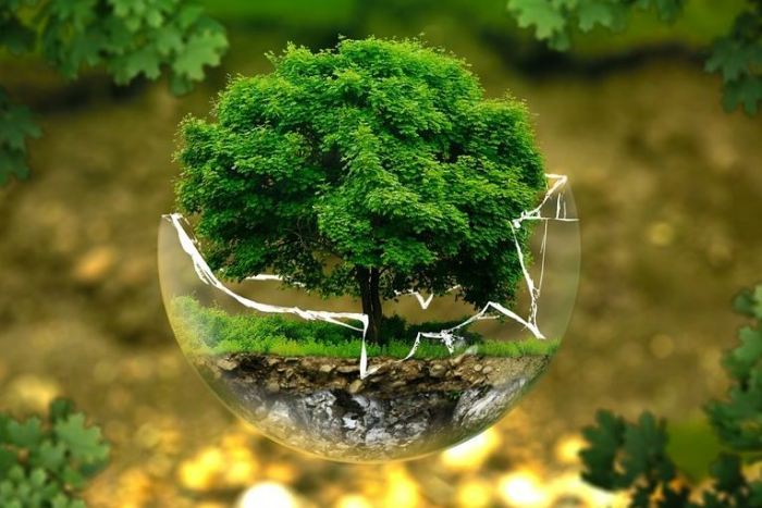 Jelaskan Pengertian Biosfer - Sebutkan