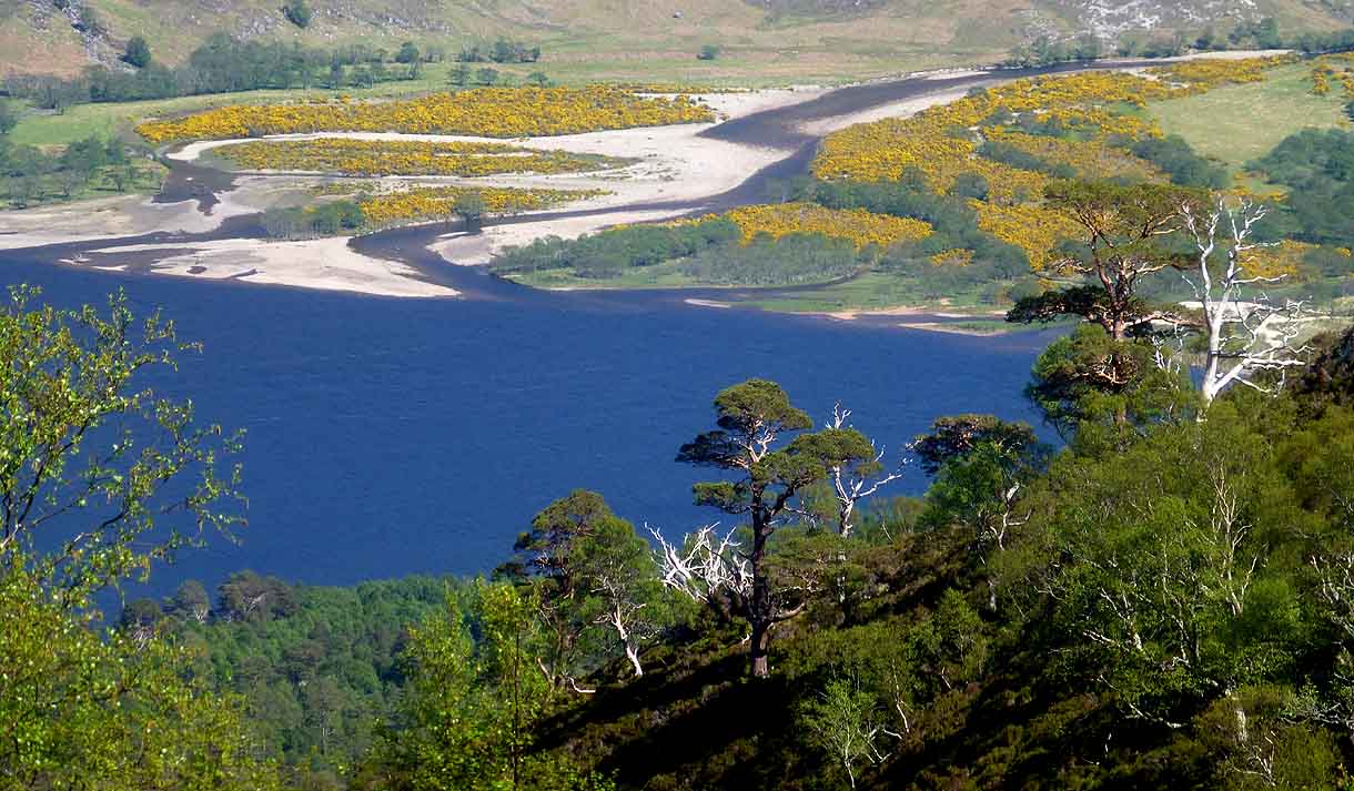 Alex and Bob`s Blue Sky Scotland: Fisherfield. Loch Maree. Day Three ...