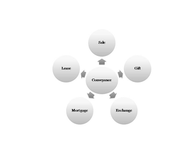 Types of conveyance - hisacartoon