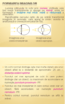 FIZICA INTERACTIVA: 2015