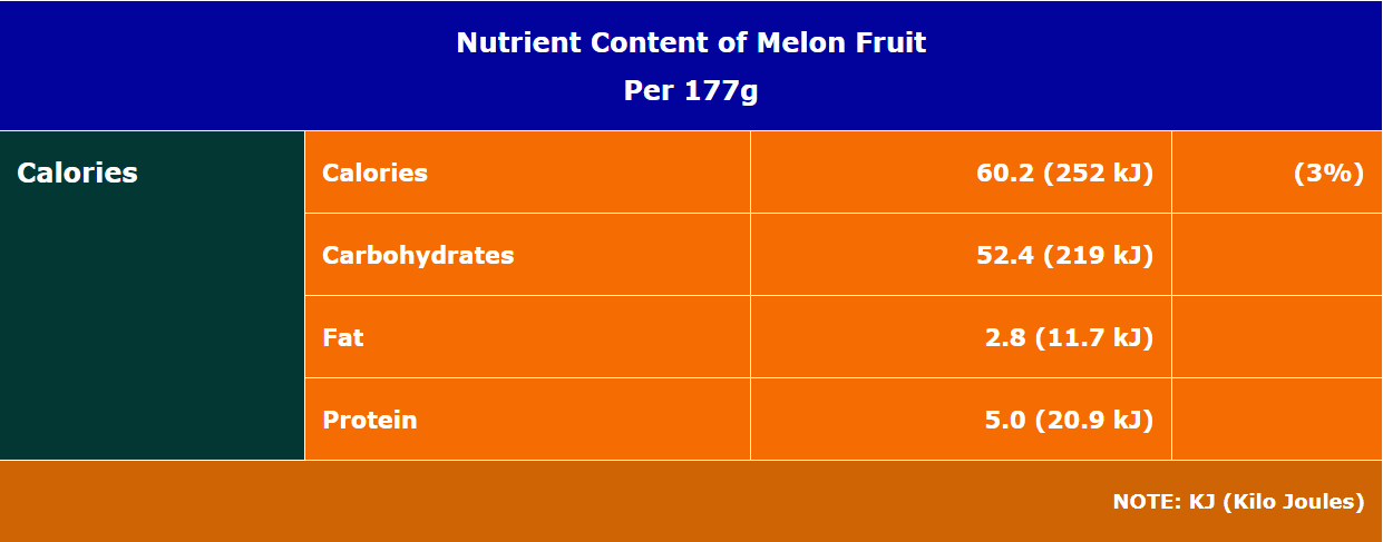 10 Melon | Benefits For Better Life - FRUITS
