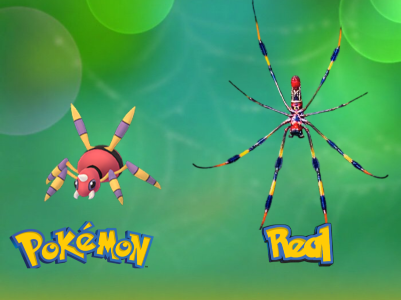 Meet the Real-life Version of your Favourite Bug-type Pokémons here ...