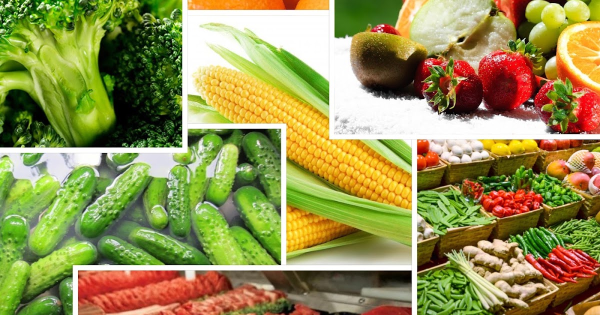 Classification of food and the food industry