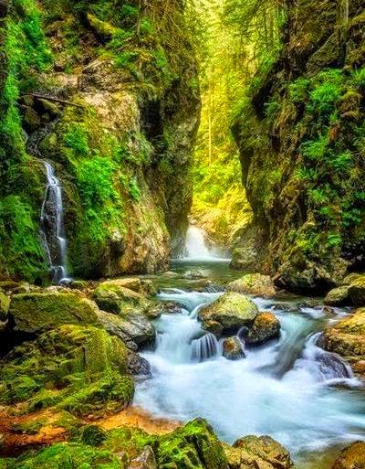 Tanggungjawab Menjaga Alam Dan Hidupan Di Dunia - Relaks Minda