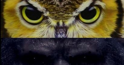 Phantoms and Monsters - Real Cryptid Encounter Reports - Fortean Researcher Lon Strickler