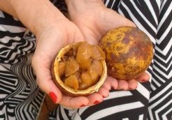 SABOR DE MABOQUE: Todo o mundo tem um maboque!