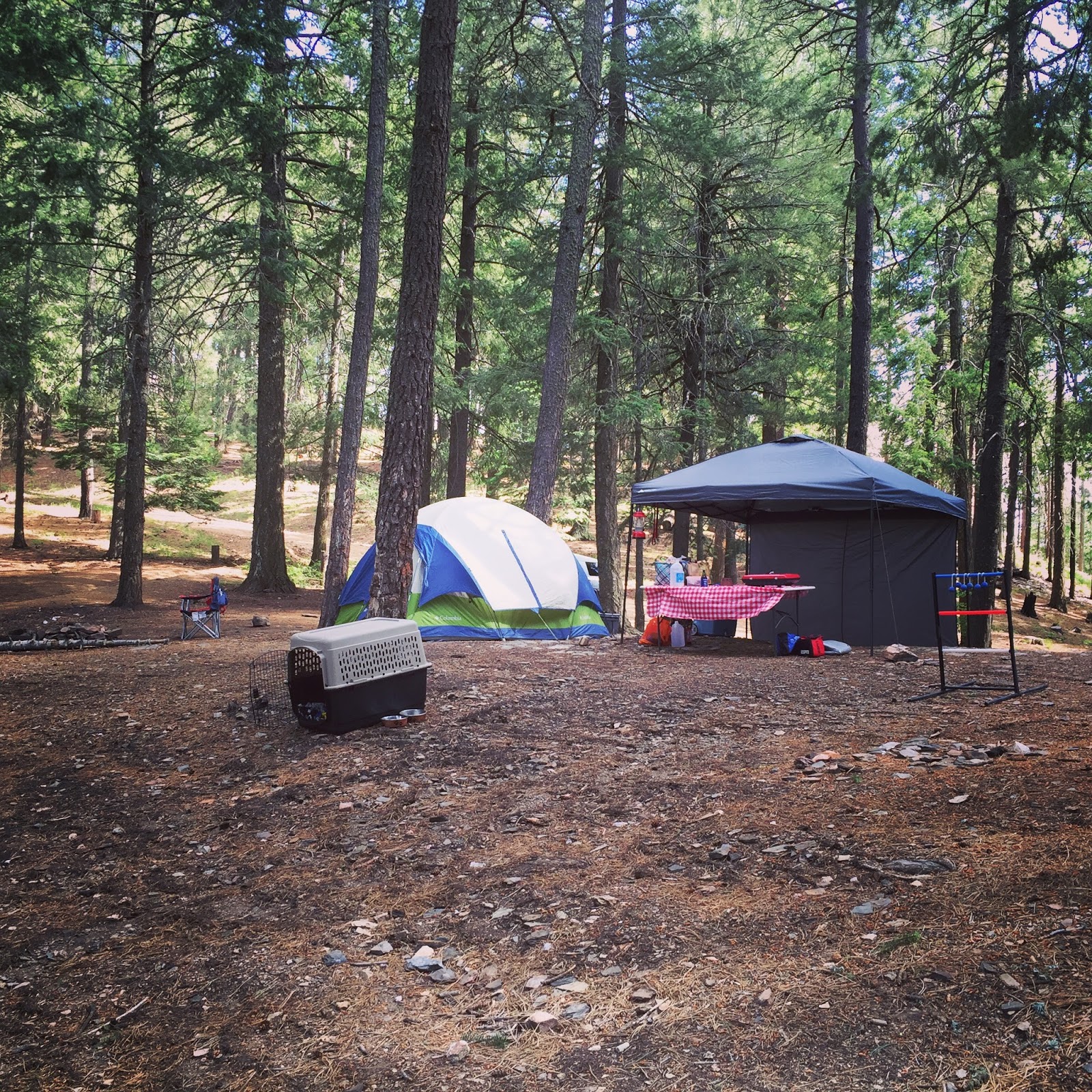 Mount Lemmon Camping: A much needed escape