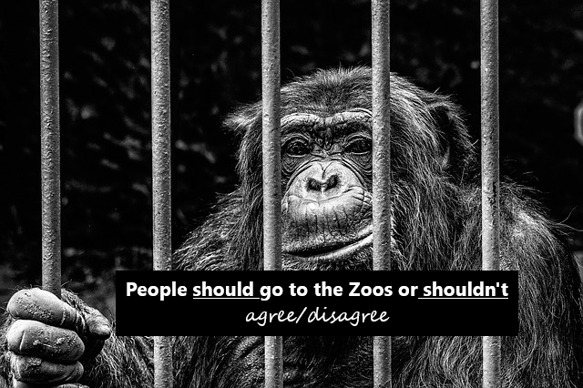 Opinion Essay About Zoo How To Write An Opinion Essay opinion-essay-about-zoo-how-to-write-an-opinion-essay