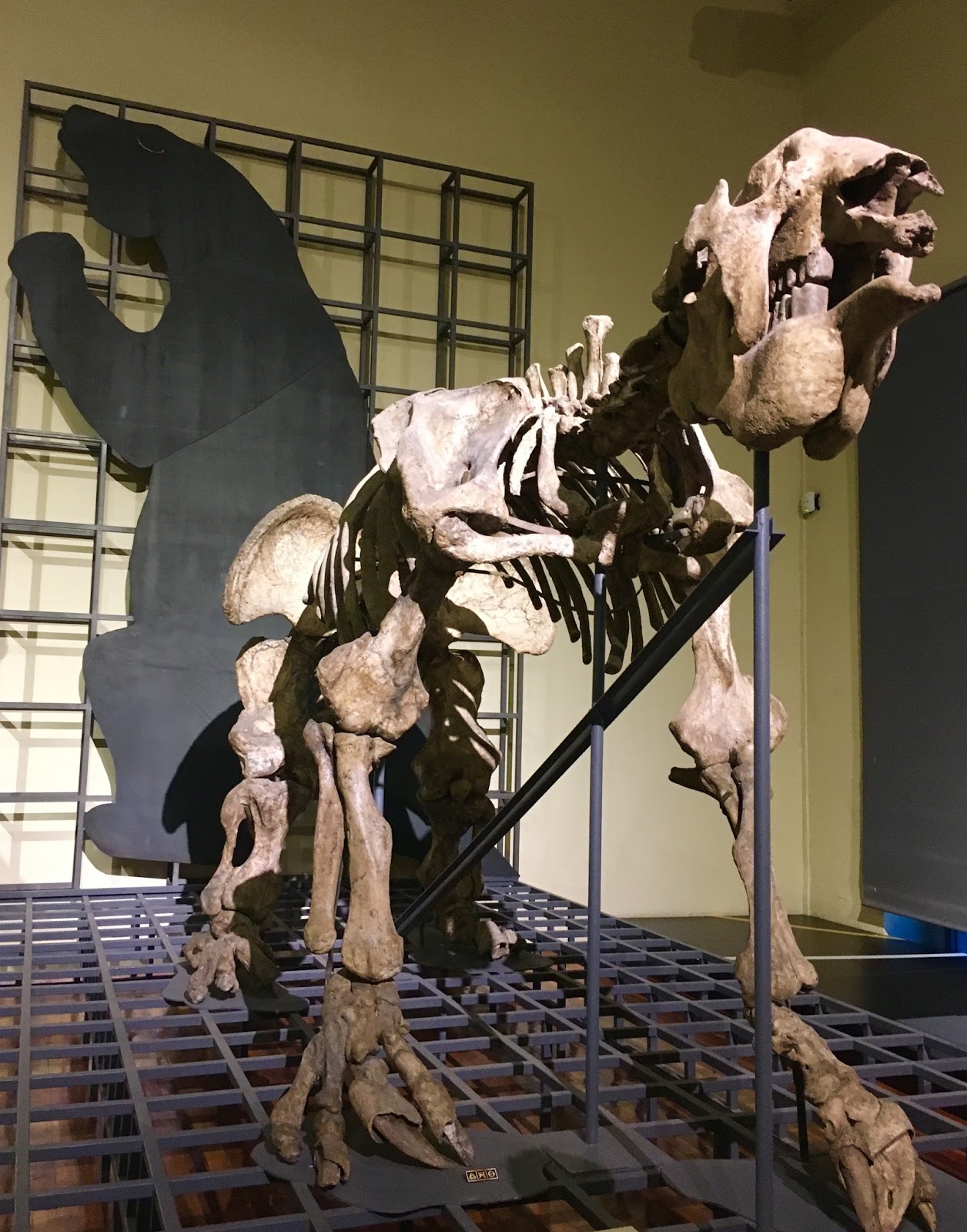 FOSSIL HUNTRESS: GIANT GROUND SLOTH