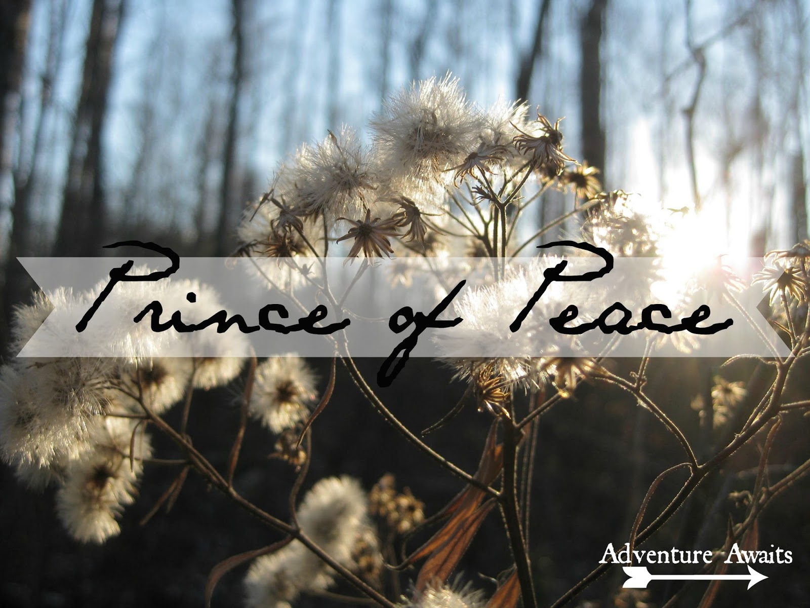 Adventure Awaits: Prince of Peace
