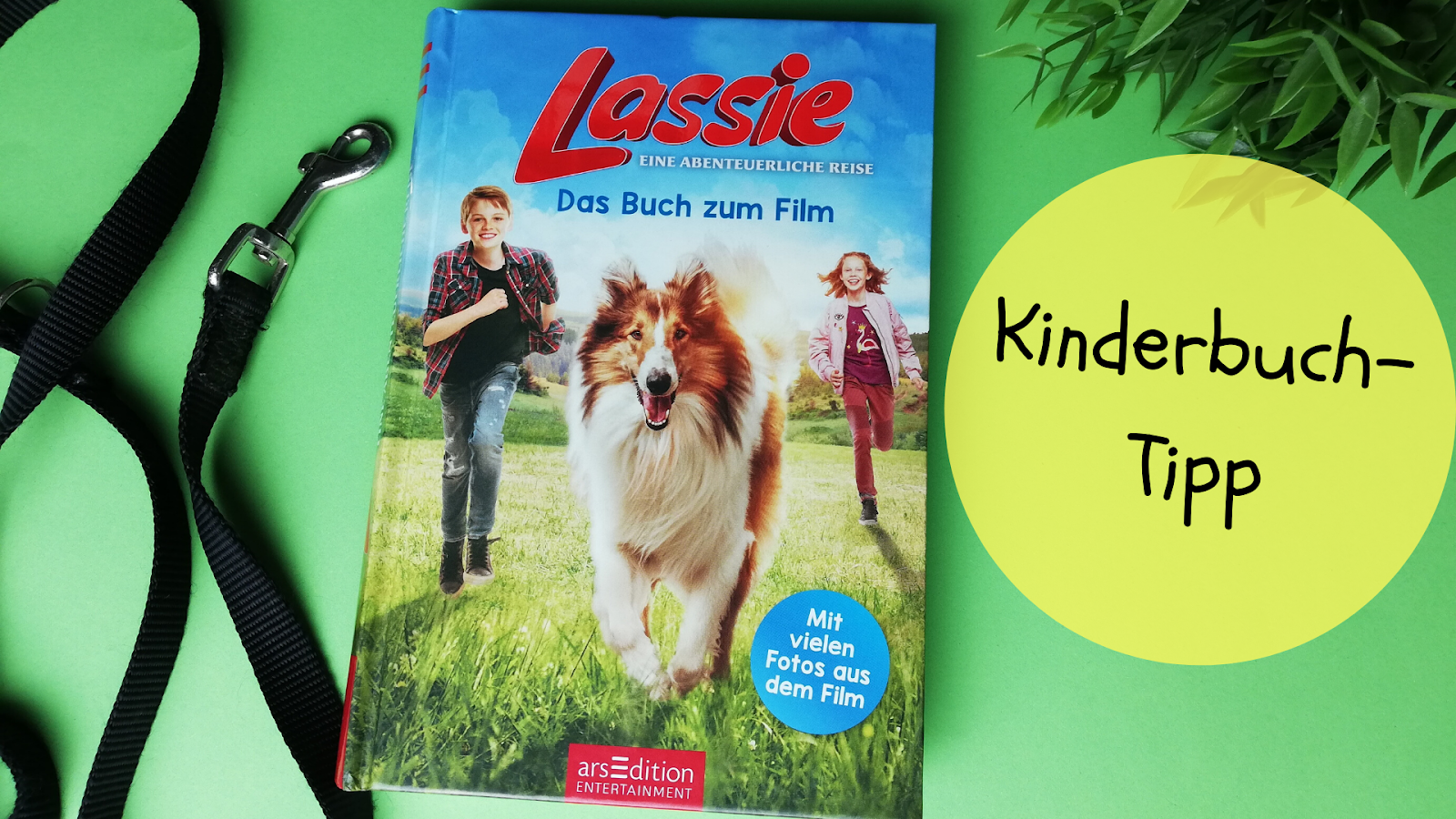 Familie Und Mehr Lassie Eine Abenteuerliche Reise Das Buch Zum