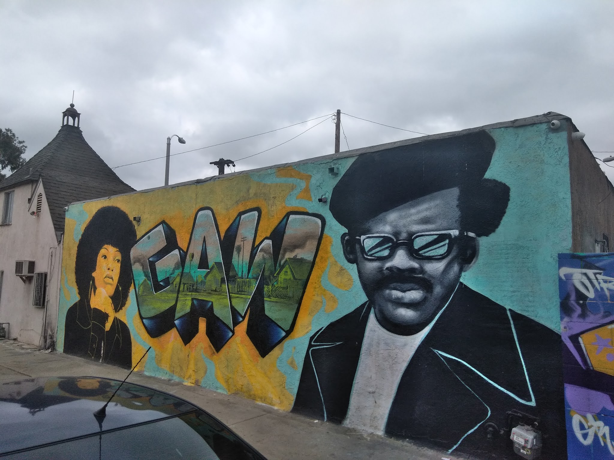 graffiti , murals & tagging : Florence Graham ( street murals )