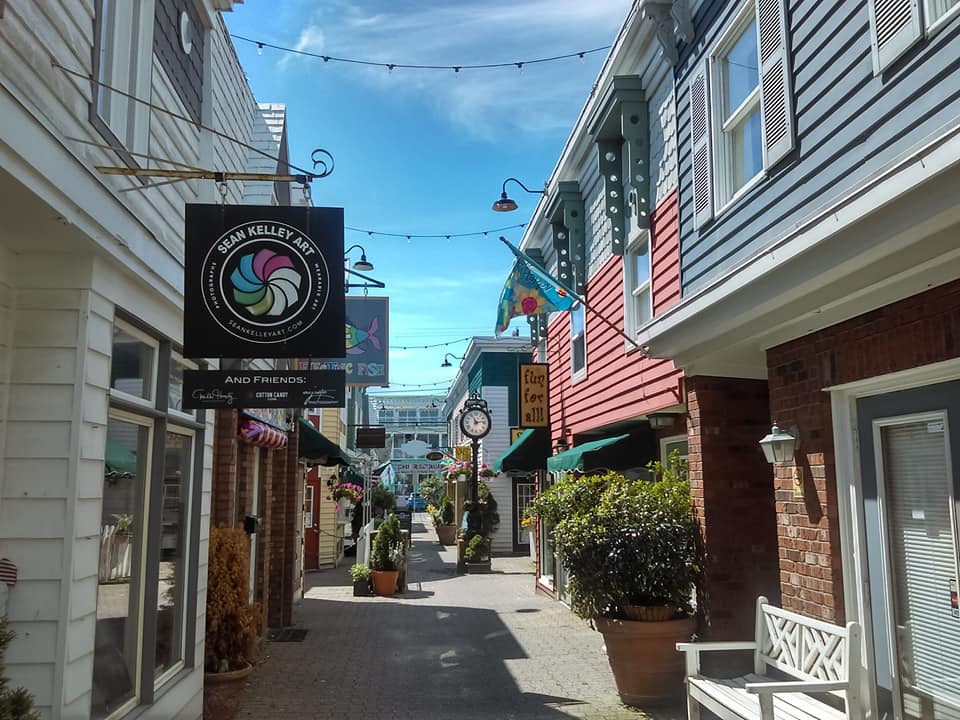 America First Libertarian: Code Blue States