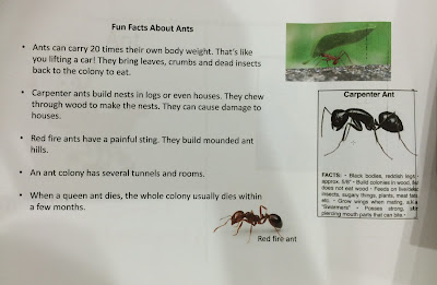 Raising Our Successful Children, Singapore Mom Blog: Literature Based ...