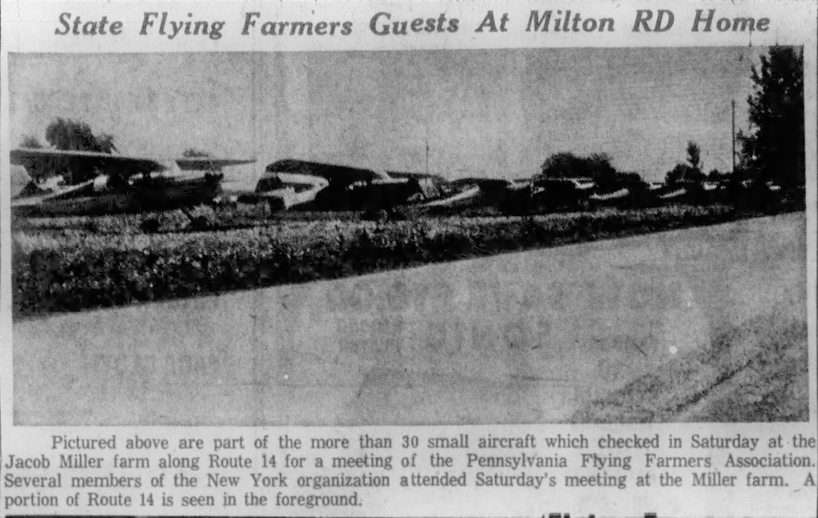 Valley Girl Views: When Flying Farmers Landed In Milton