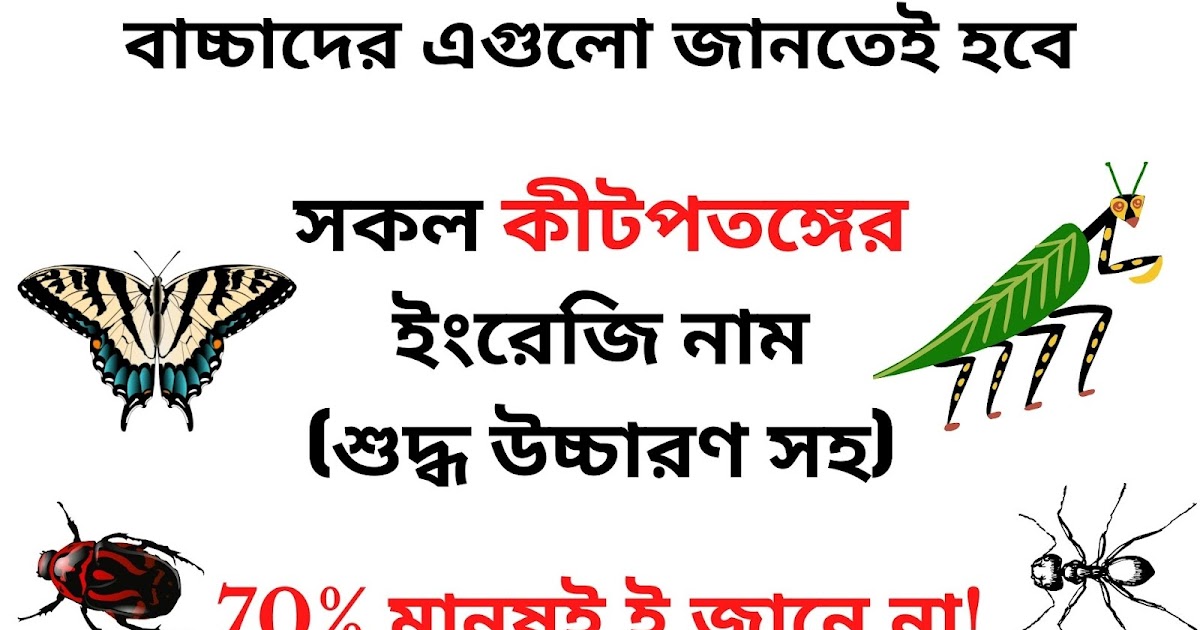 All Insects Name In English And Bengali all-insects-name-in-english-and-bengali