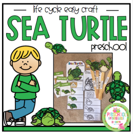 Sea Turtle Life Cycle Easy Craft ~ Preschool Printables