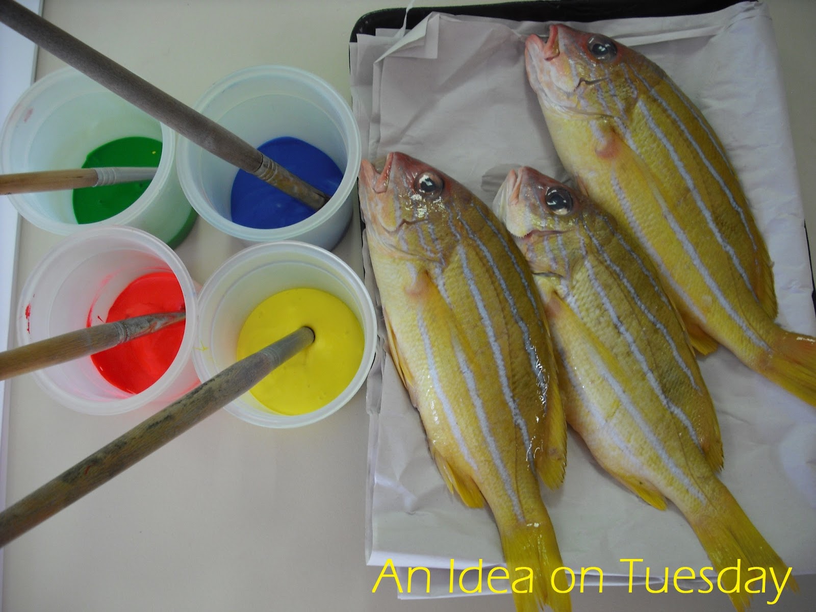 An idea on Tuesday: Fun with Fish