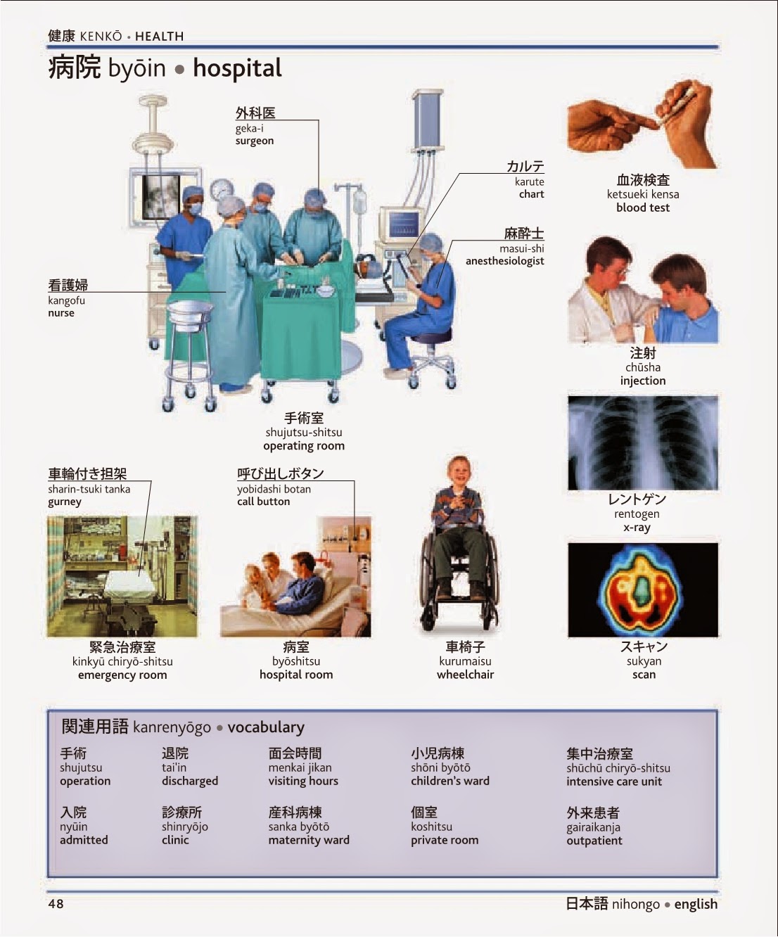 健康 kenkou Health - Japanese For Beginners