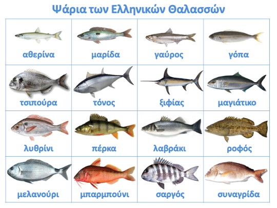 Λειβάδια Ανδρου: Τα είδη ψαριών που "κολυμπούν" γύρω από την Ανδρο