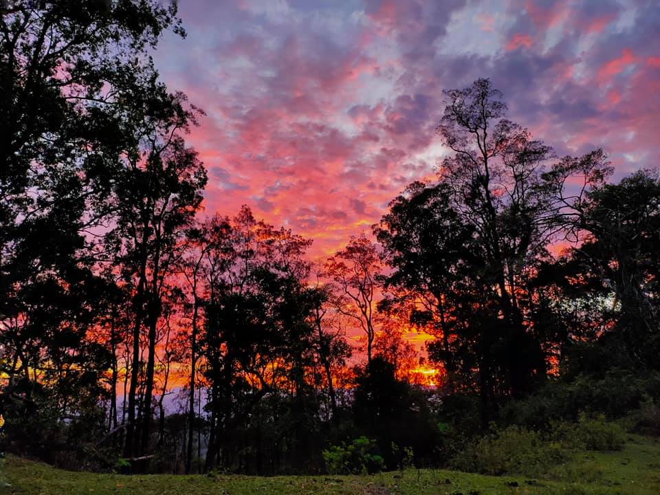 GUNUNG TIMAU, KABUPATEN KUPANG-NTT, INDONESIA | NTT NATURAL & CULTURE ...