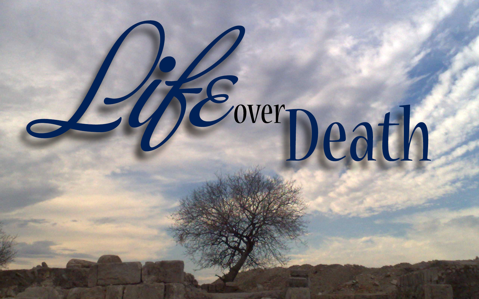 Welcome to DavidCharlton.blogspot.com: February 17, 2013 Walking in the ...