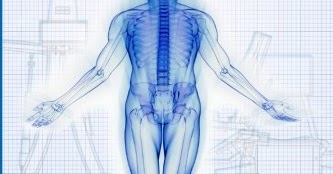 View Review Osteogenic Loading: A New Modality To Facilitate Bone ...