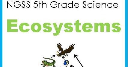 Memorizing the Moments: Ecosystems Unit