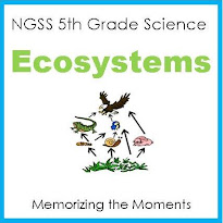 Memorizing the Moments: Ecosystems Unit