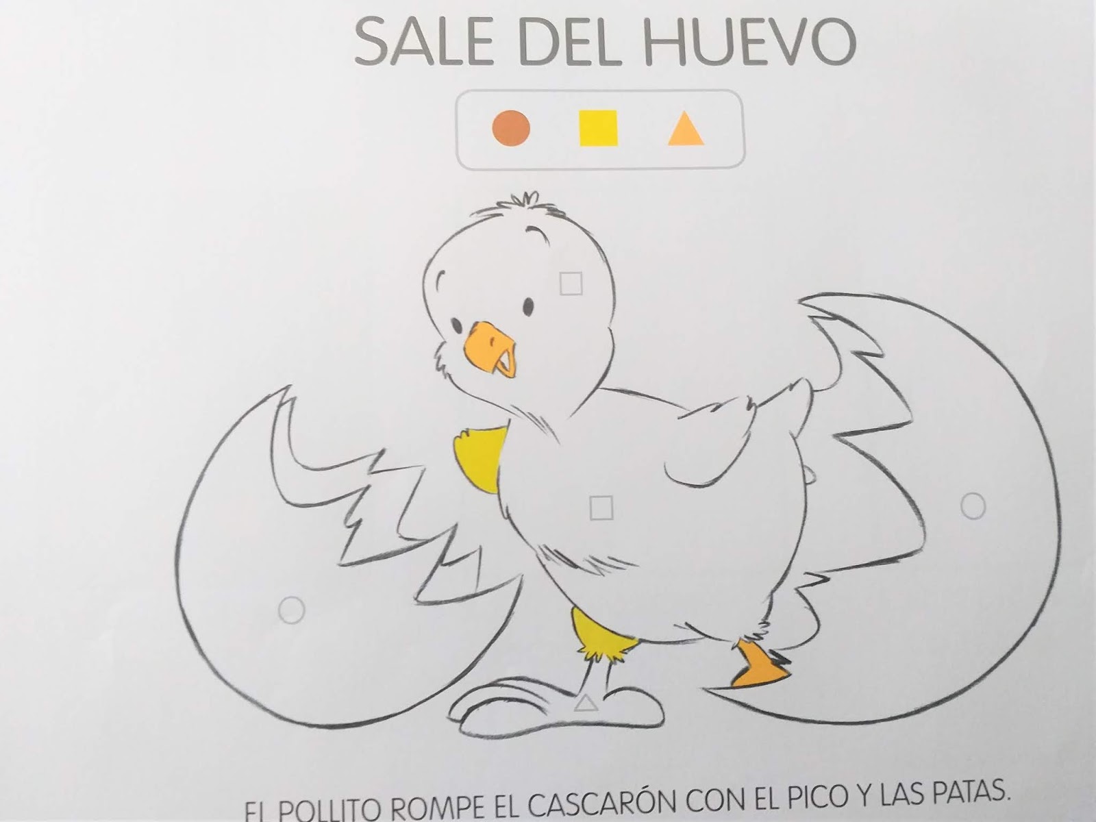 Educación Infantil, 3, 4 y 5 años. Colegio de Piornal (Cáceres) : 05/07/20