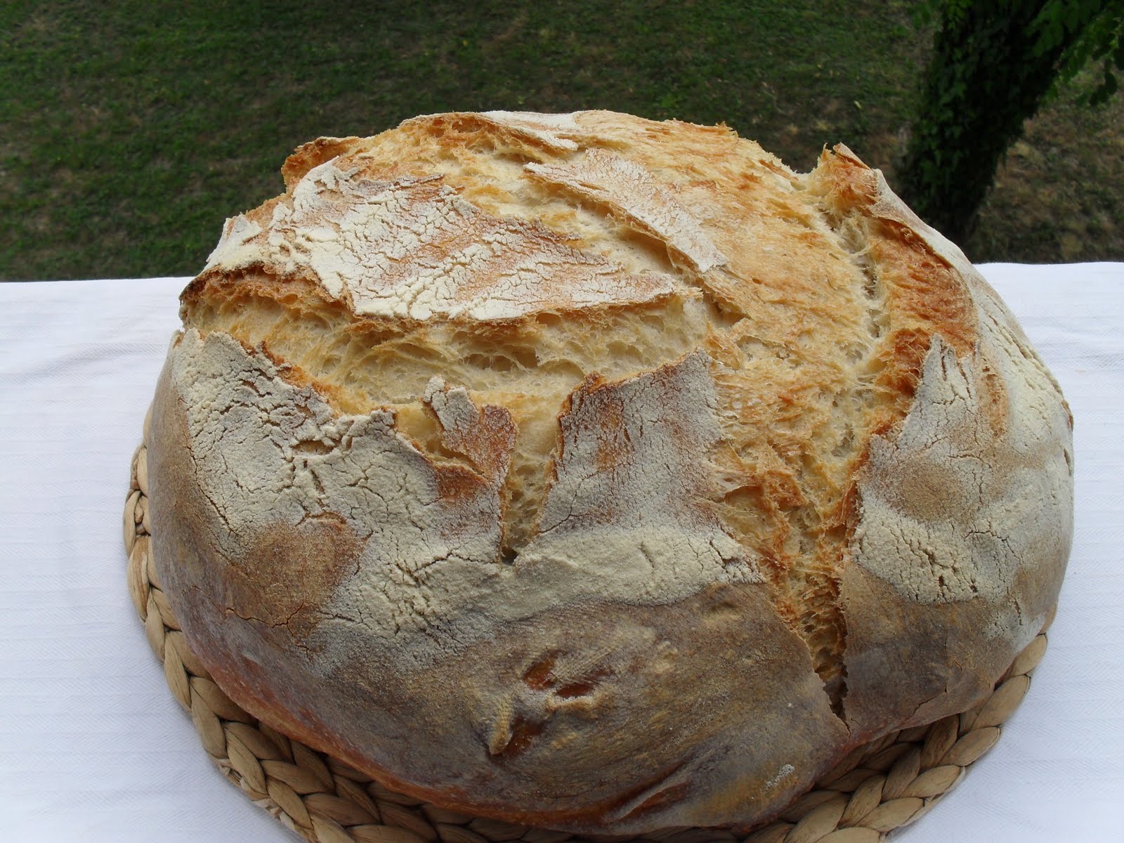 babà che bontà: Pane cafone