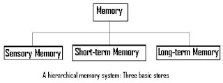 MIND: SECRETS OF MEMORY: Part I Three-store model of memory
