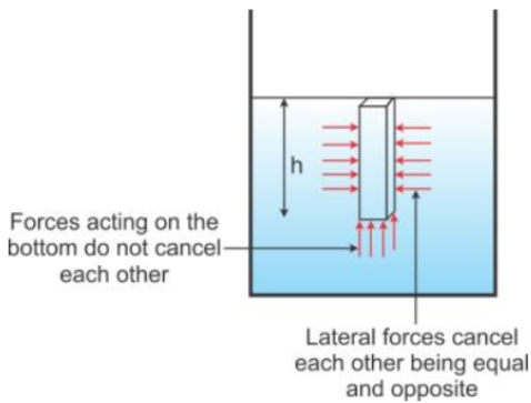 Selina Chapter 5 Upthrust in Fluids, Archimedes Principle and ...