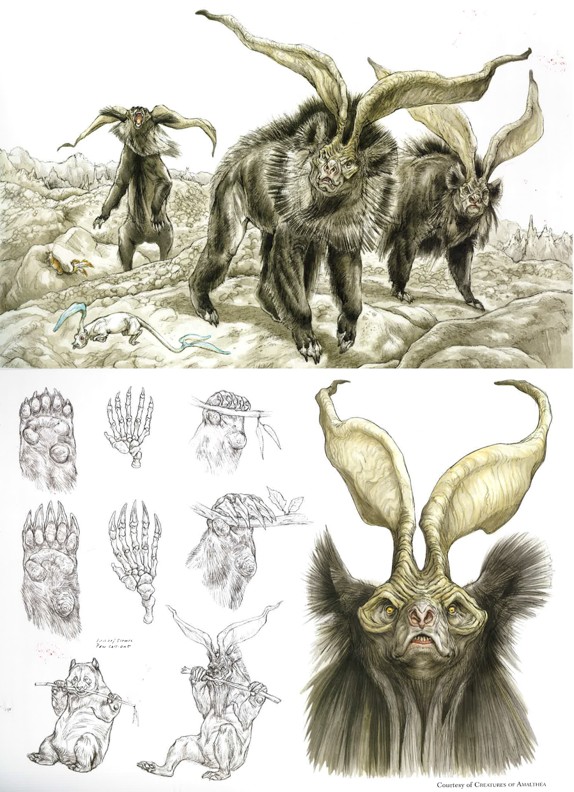 Honours Blog: Principles of Creature Design: Creating imaginary animals