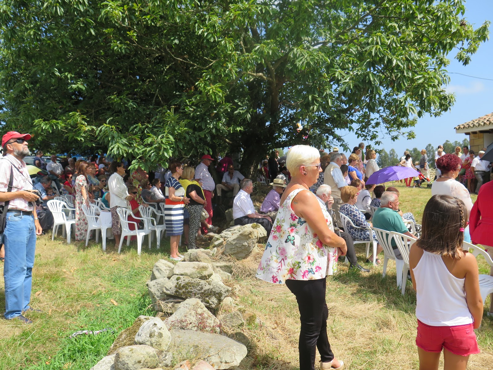 QUINTES-Mirador del Cantábrico: Granderroble de Quintueles pone fin a ...