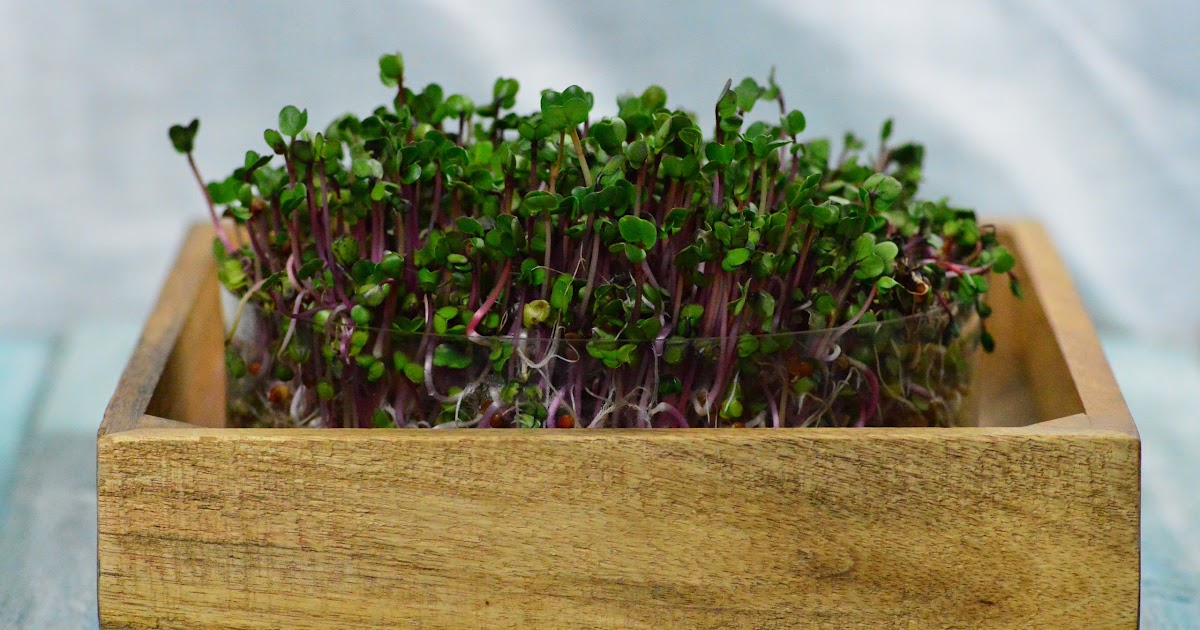 Bistro32: KLÍČENÍ / JAK A PROČ