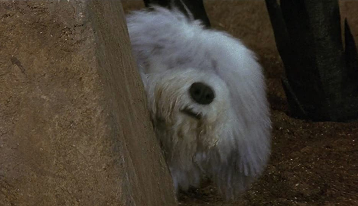 Film Lecture Series #2 - Archetypes and Storytelling + Film Review.