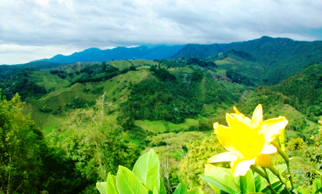 Quindio Paraiso verde de Colombia