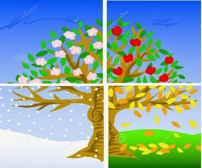 #blogfırtınası / 7. gün ödevi / Dört mevsim | Evde Yazar