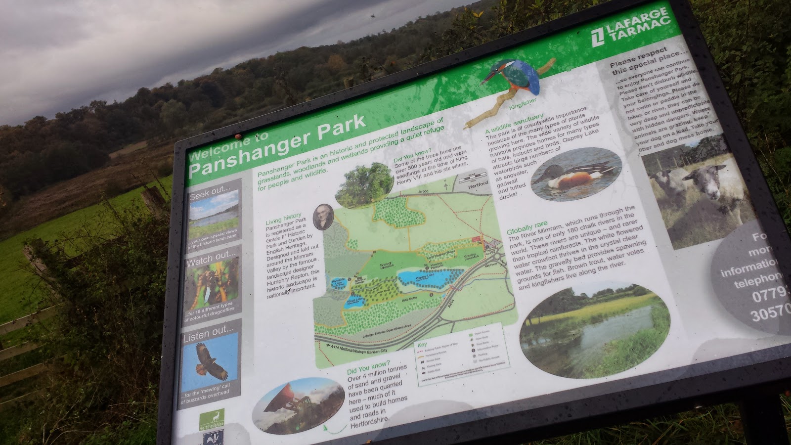 blog7t: Panshanger parkrun