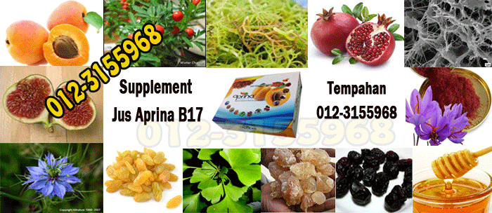 Jus B17 Aprina - Aprikot + Manna Arab: Jus B17 Aprina Aprikot