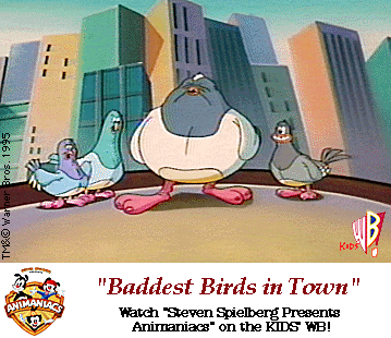 Baddest Birds in Town