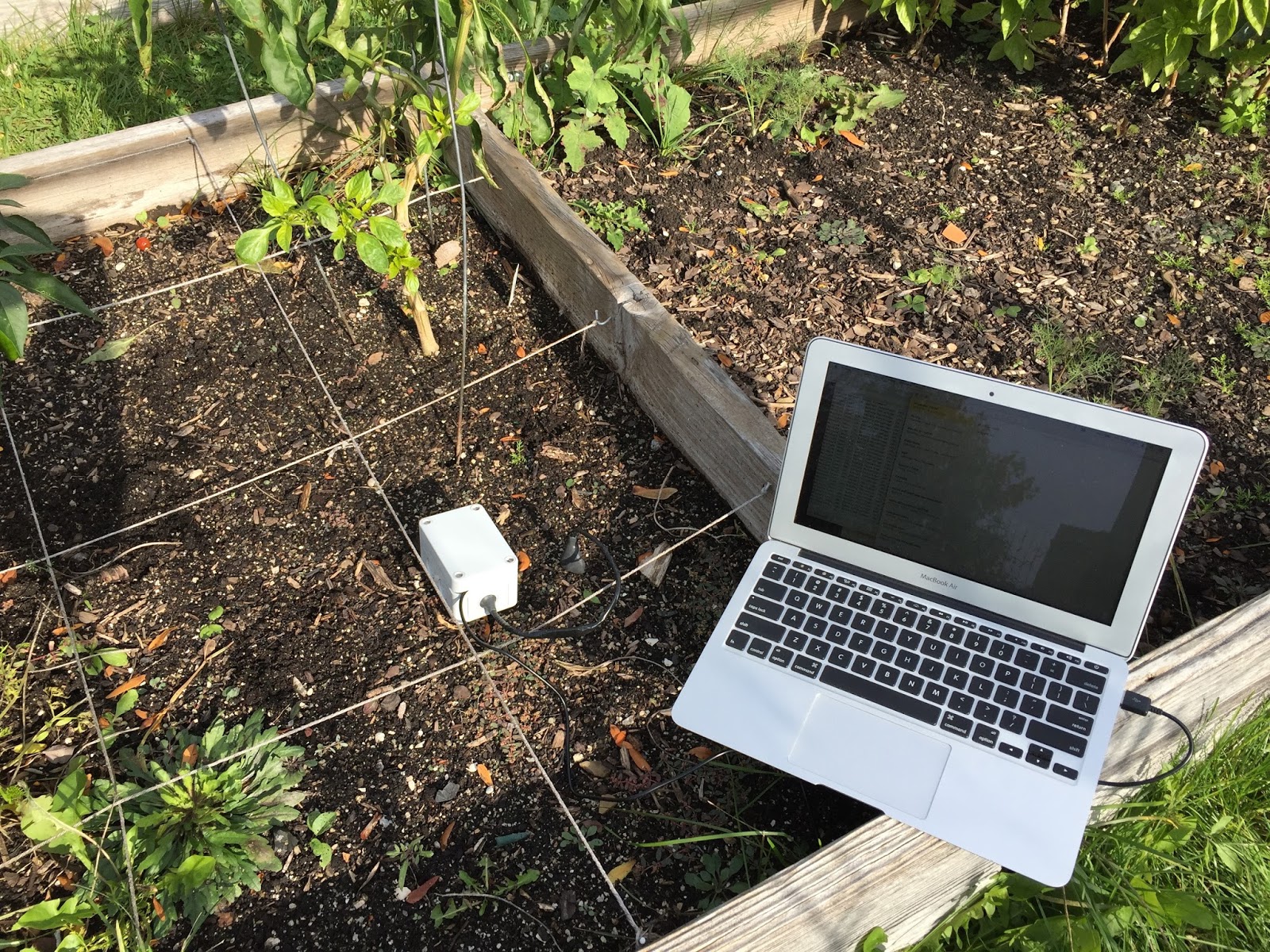 How to make a cellular-connected garden monitor