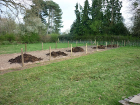 An English Homestead: Long Furrows Almost Ready To Plant