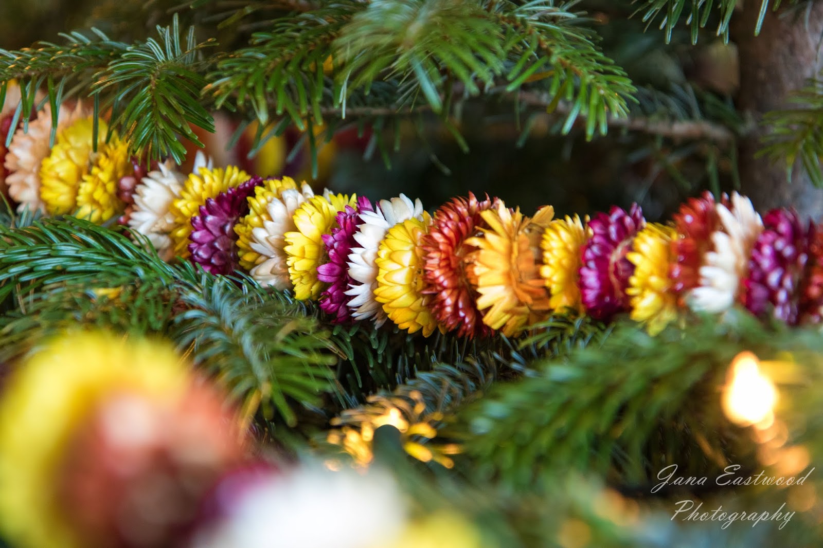 Escapes and Photography: Christmas at Baddesley Clinton