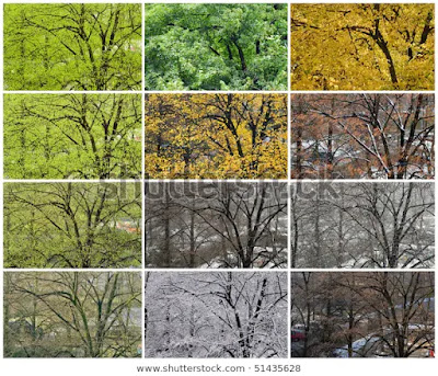 What is Fixed Point Photography (FPP) in 5S? - Mechstudytips