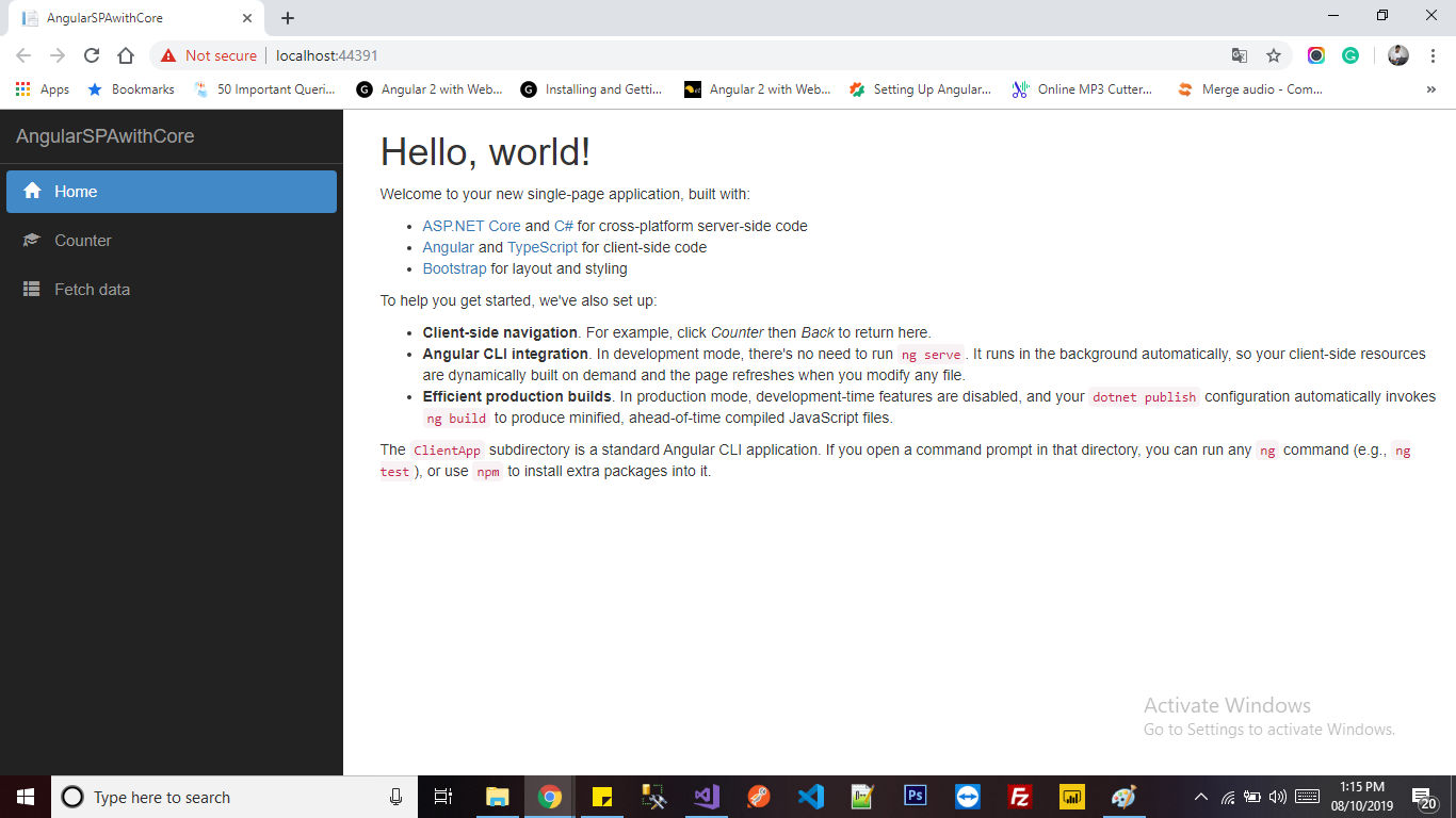 How To Create Angular App With .NET Core In Visual Studio ~ ASP.NET,MVC ...