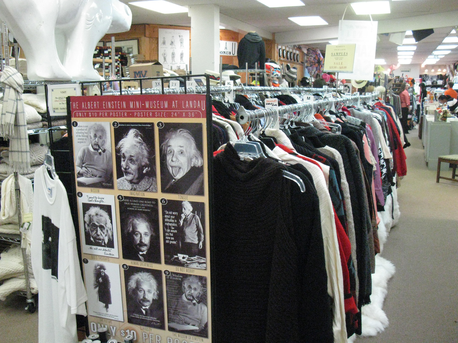 Eccentric Roadside: Smarty pants: Princeton, New Jersey's Albert ...