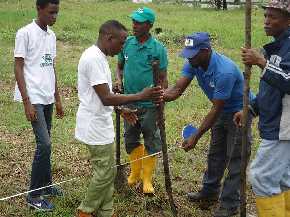 Eco club tree planting exercise in finima market road bonny island ...